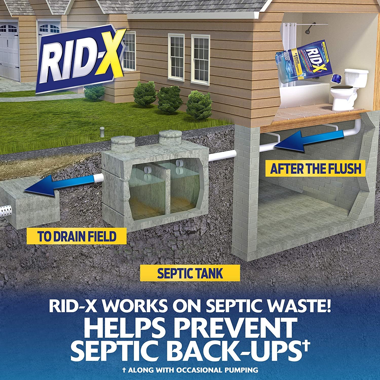 Can You Use Rid-x in a Regular Toilet (Guide) 2025